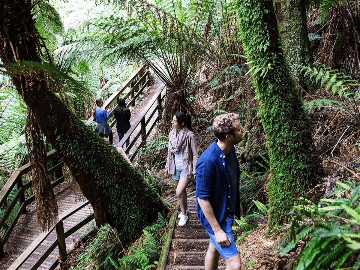 Great Otway National Park (Jarosite Headlands) Great Ocean Road Coast ...