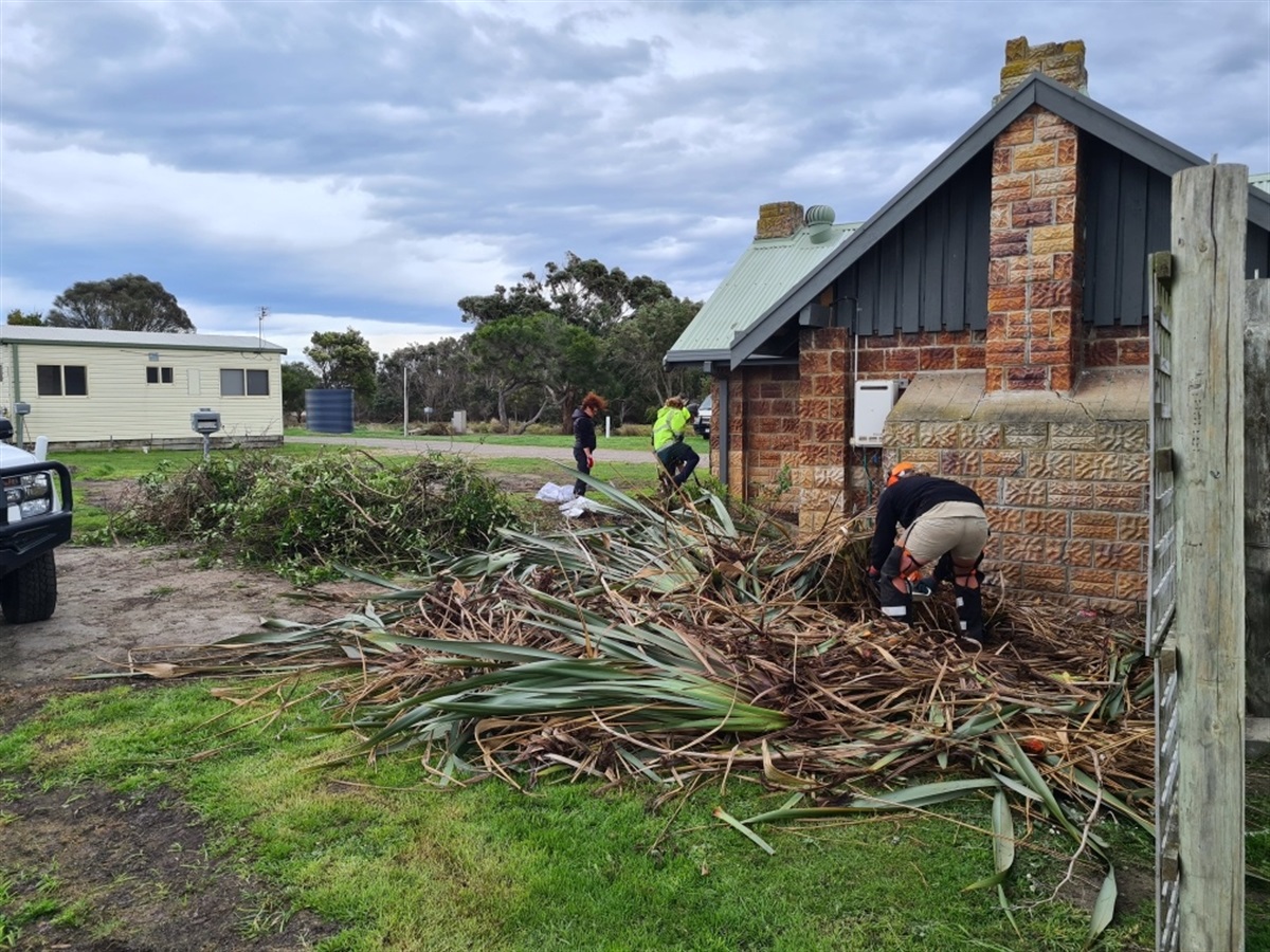 Pitching in to beautify the Apollo Bay Recreation Reserve Great Ocean ...